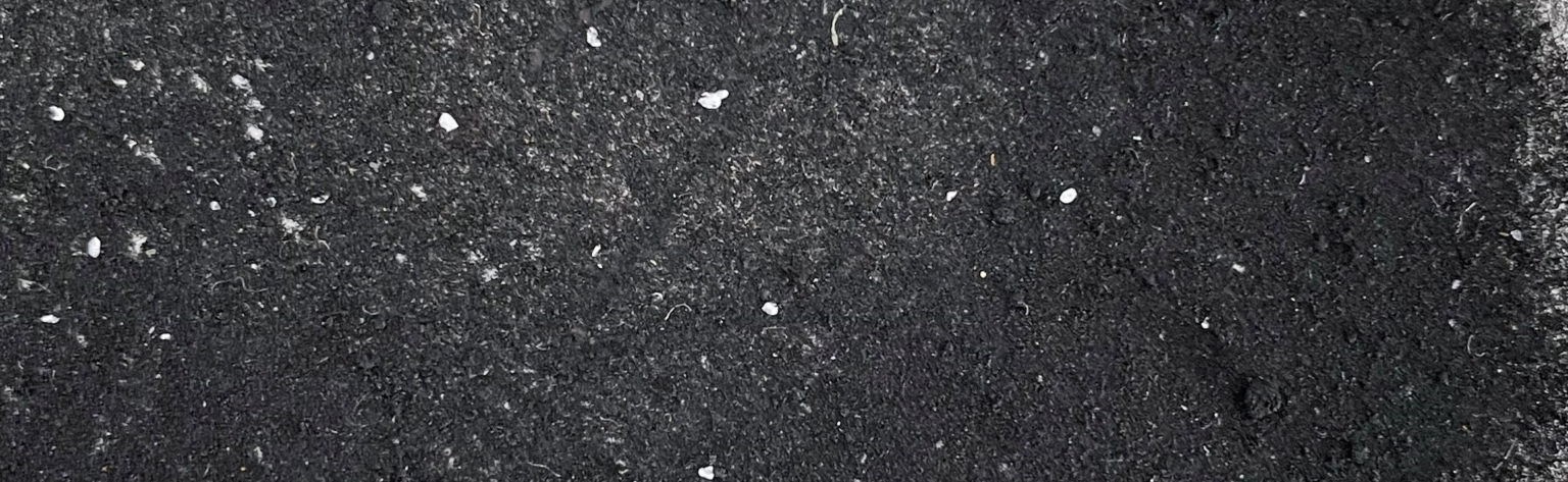 Dansand - Danmarks førende specialister i sand