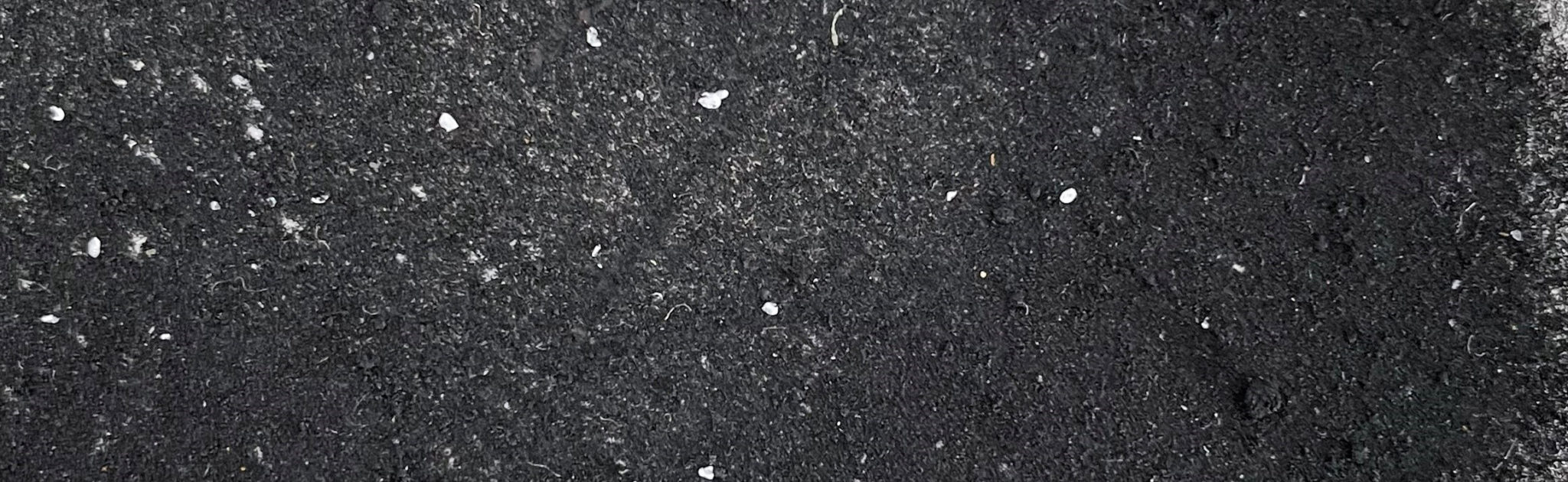 Dansand - Danmarks førende specialister i sand