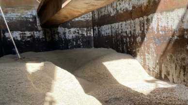 Dansand - Danmarks førende specialister i sand