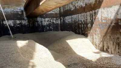 Dansand - Danmarks førende specialister i sand